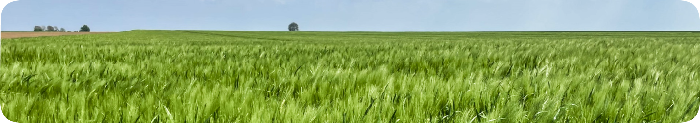 Cabinet engagé • RH Adéquation